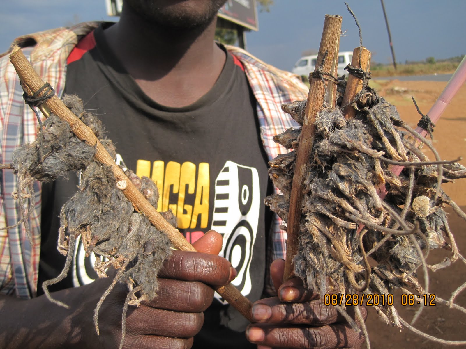 Missions in Malawi: Rats on a Stick