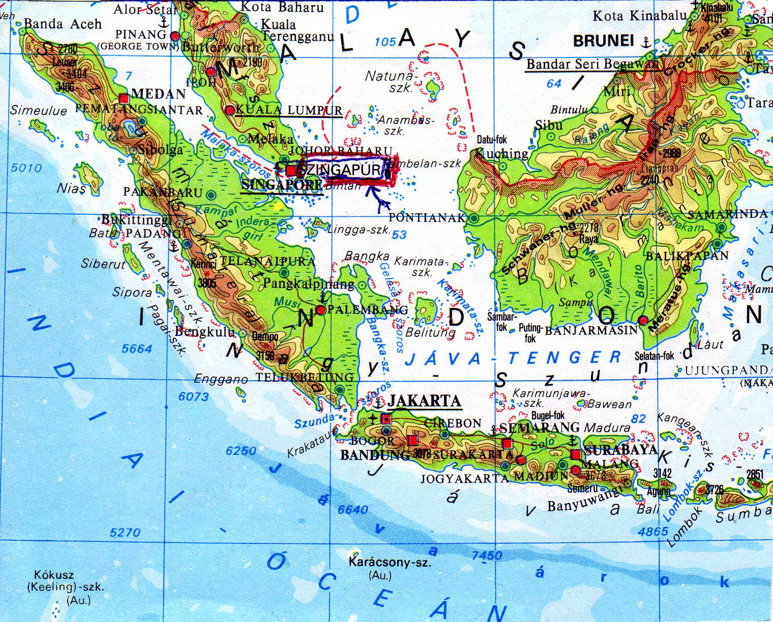 Dr. Radnai István (állatorvos) - A toll és a fecskendő összetartoznak ...