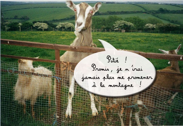 Tours de magie, jeux et humour ADONFFF: Et un coup pour la chèvre