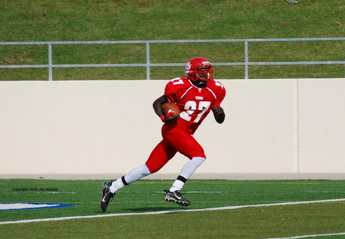 Terrell Daily Photo: Terrell Tiger shots