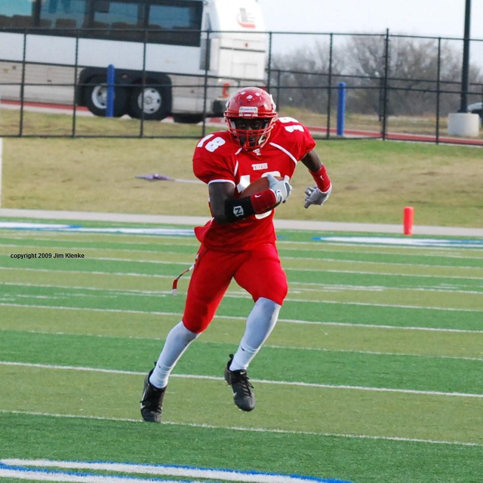 Terrell Daily Photo: Terrell Tiger shots