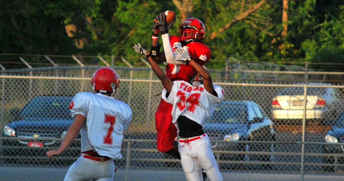 Terrell Daily Photo: Busy days