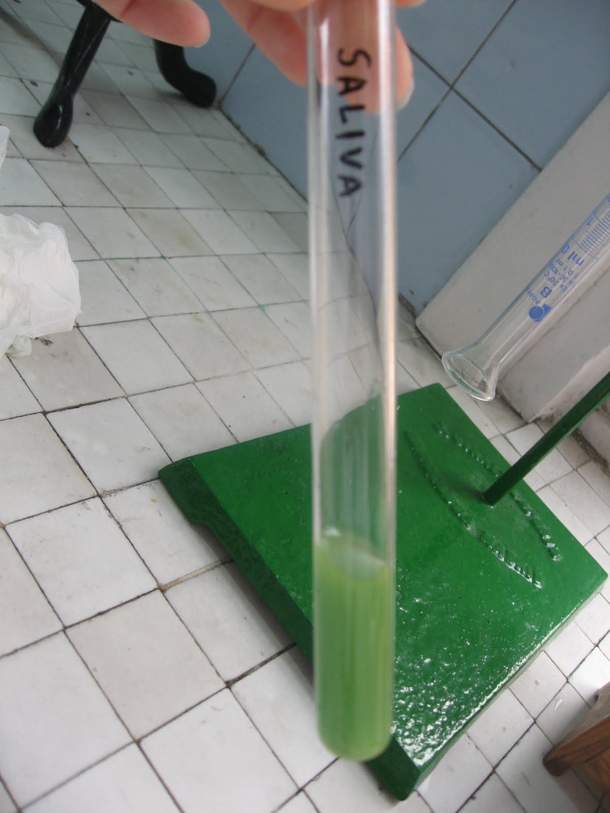 laboratorio2bach: DETERMINACIÓN DE AZÚCARES REDUCTORES