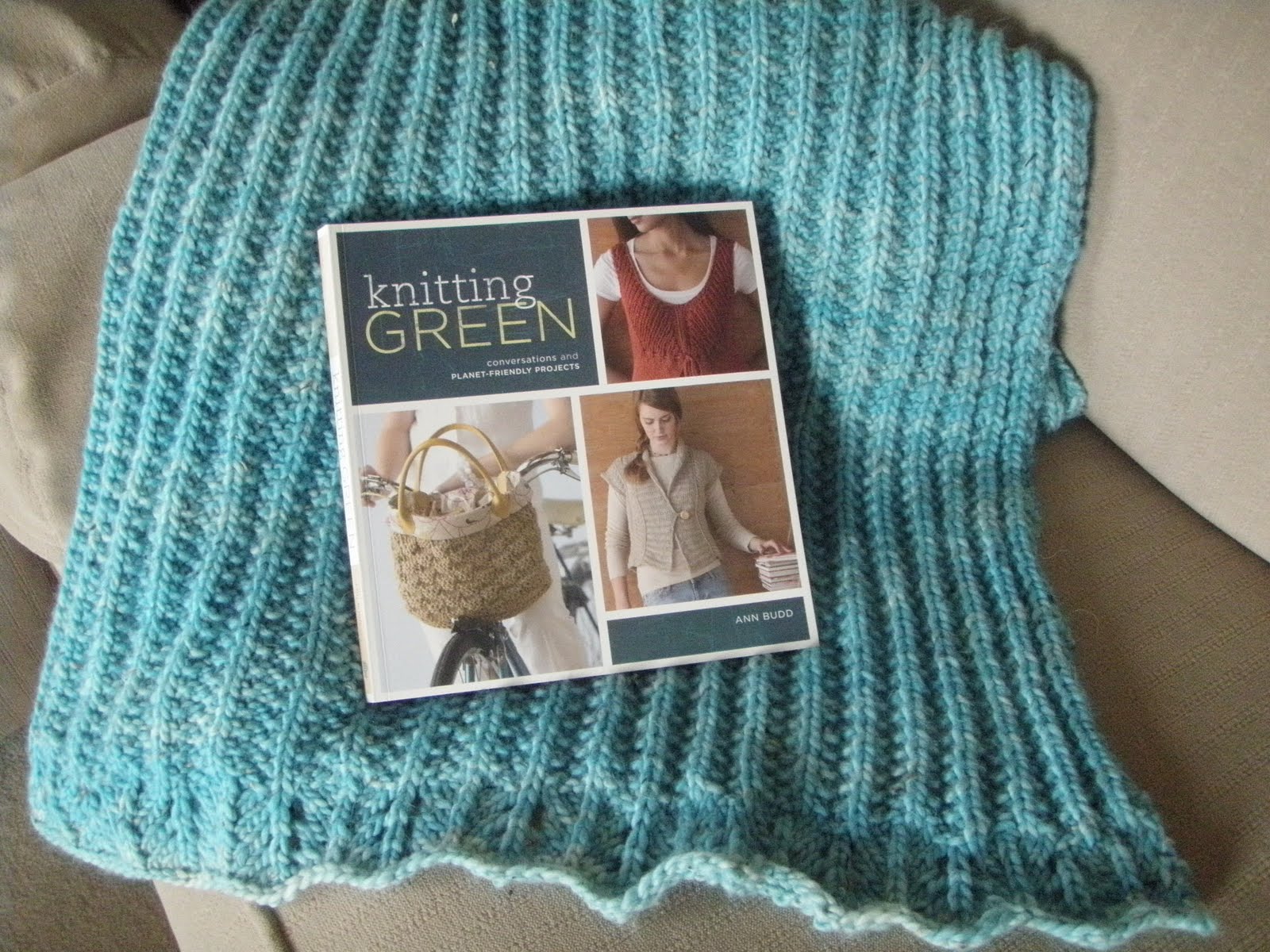 Earth Day – Ann Budd Knits