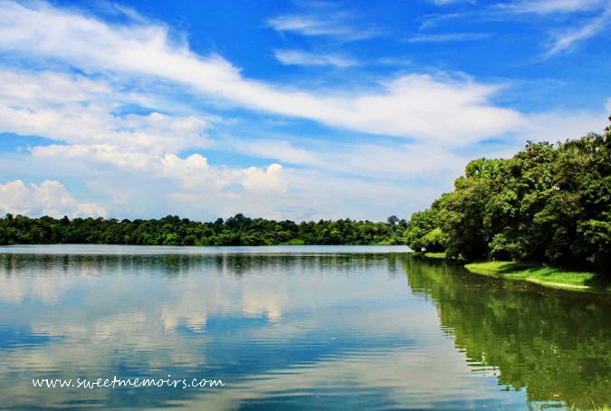 Cherry Berry : Photo of the Day: Mandai Lake