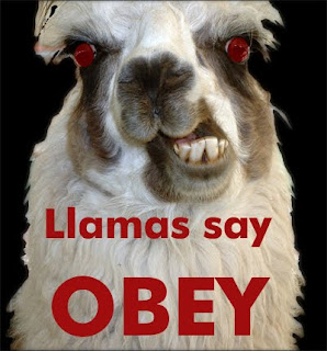 Llamarama Ding Dong: Scary Llamas
