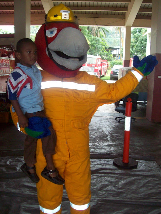 National Fire Authority of Fiji: NFA website launched