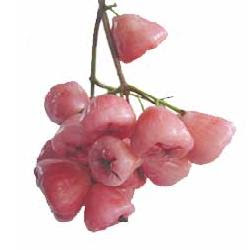 Alamat ng Makopa | Pinoy Alamat