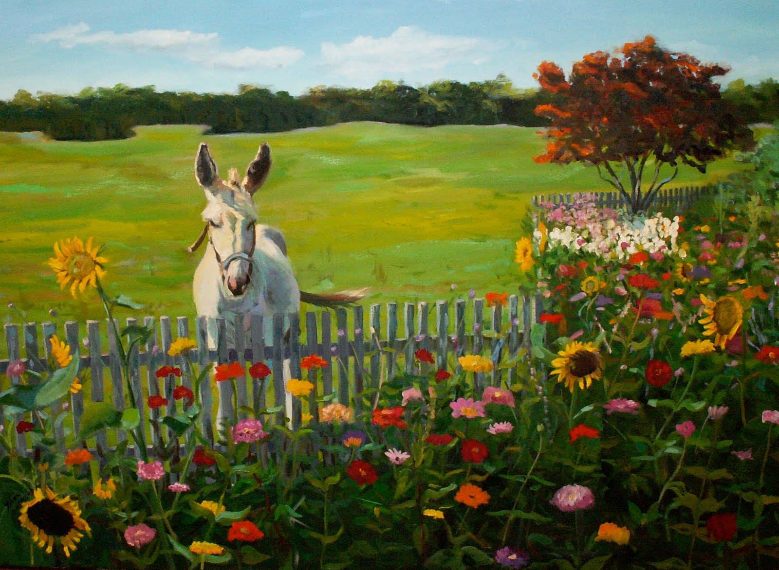 dogwood gallery & framer: steven stinchcomb @ dogwood gallery