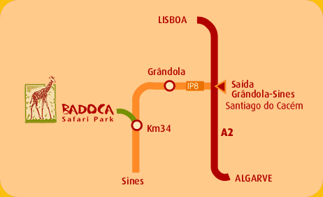 laptur: VISITA AO BADOCA SAFARI PARK