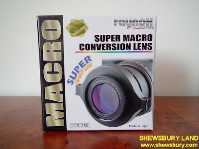 Raynox DCR-250 Macro Lens