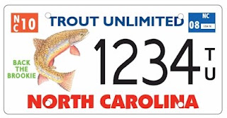 Fishing in the Southeast- Fishing, Lake Reports and Fish Tales