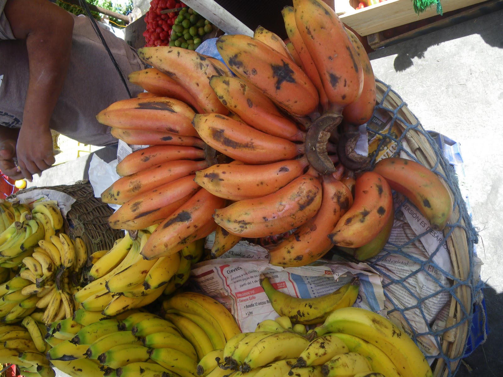 the world of cherie: Xela So Far...