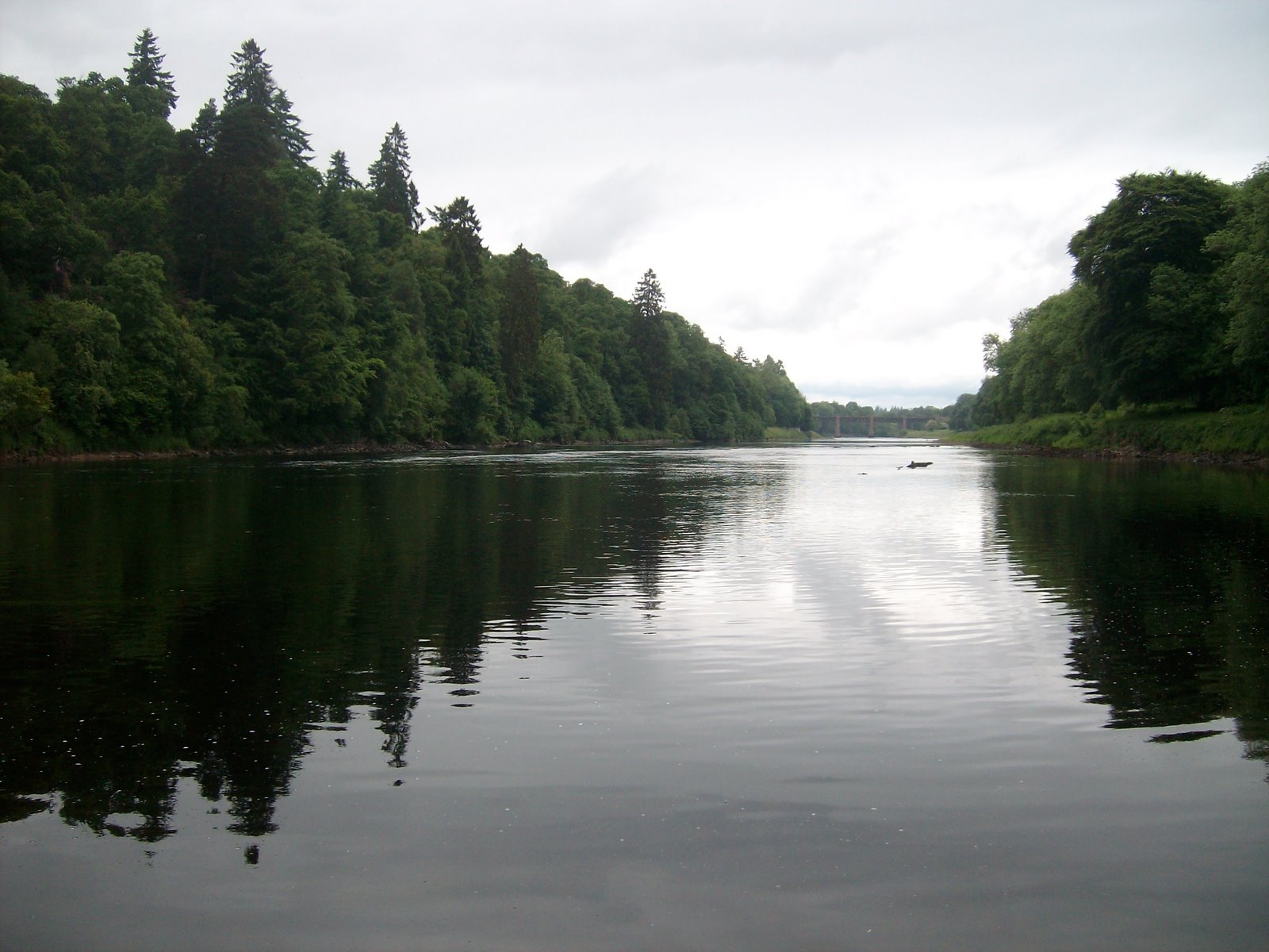 Cargill Beat River Tay Perthshire Scotland: Cargill beat- River Tay ...