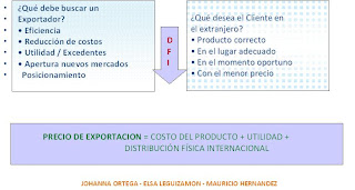 DISTRIBUCION FISICA INTERNACIONAL: CONCLUSIONES DFI