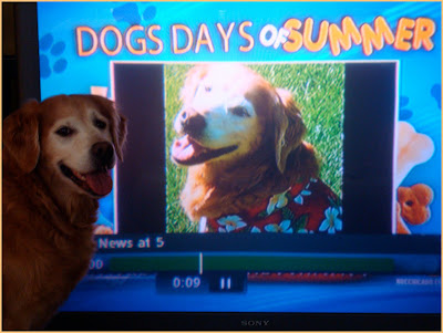 Woof! Woof! I'm On TV Again - Golden Woofs