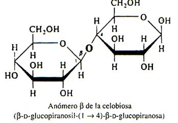 Celobiosa