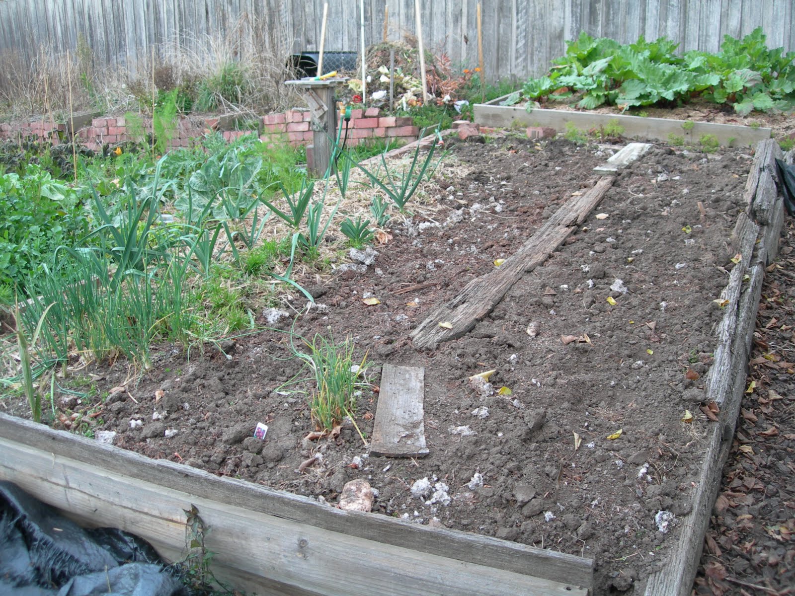 Polystyrene Garden Junkie: 2010