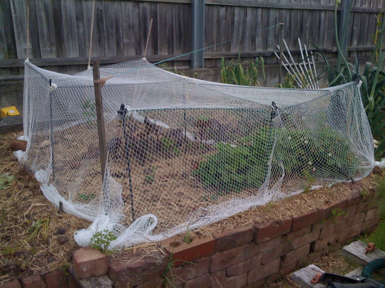 Polystyrene Garden Junkie: 2010