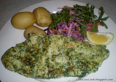 Cate Can Cook, So Can You!!: Citrus Dill Basa with Apple Coleslaw