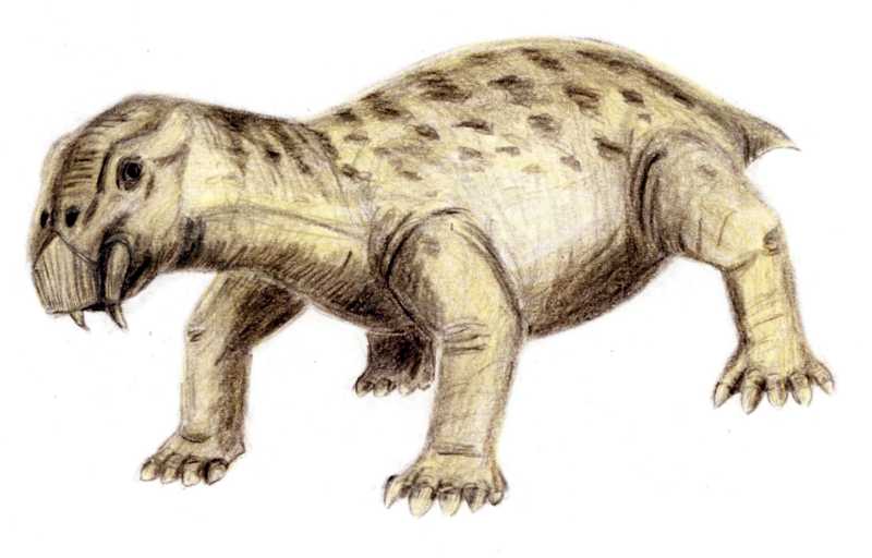 El Listrosaurio :: El fosil