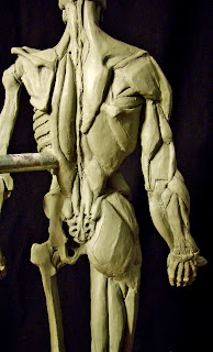 RFX Design: DESIGN • ENERGY • MOTION: Ecorchè: The Muscles of the Arm