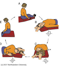 Kinesiología y Rehabilitación para Todos: Rehabilitación Vestibular