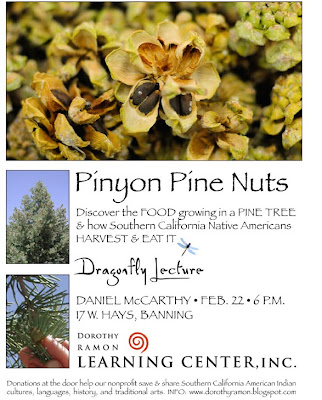 Ahunika': Pinyon Pine Nuts, 2