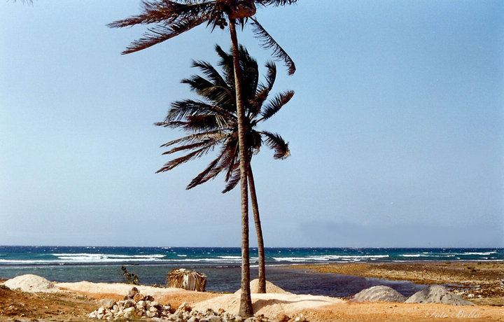 Caimito, mi pueblo en Cuba: Fotos de El Salado que es playa de Caimito ...