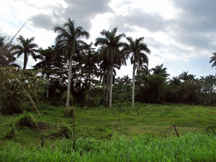 Caimito, mi pueblo en Cuba: Playa Banes y río, Caimito. Fotos cortesía ...