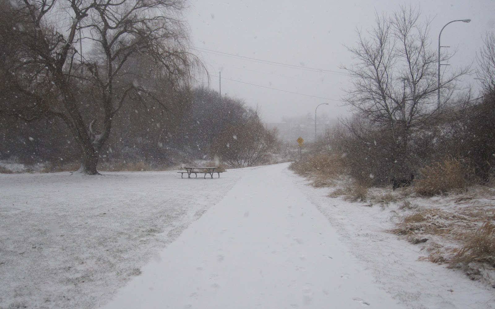 I Keep Running: Pullman Winter 50k #2 - Race Report