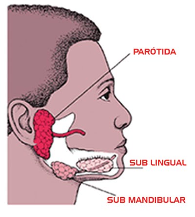 Notas & Notícias: >Caxumba