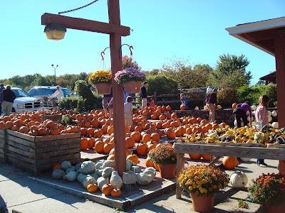 Adventures in Amherst: Atkins Farms