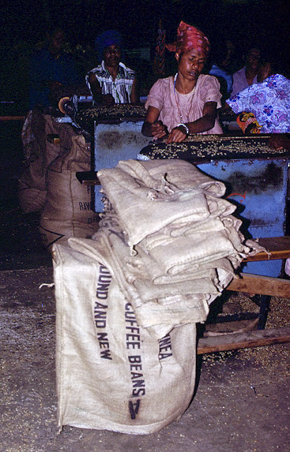Niugini Days: Coffee Time