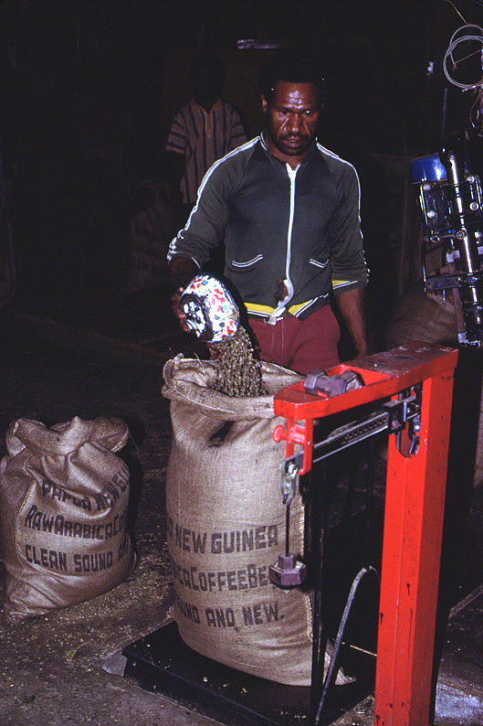 Niugini Days: Coffee Time