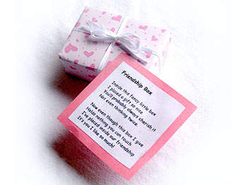 Staceys Little Niches: Friendship Box