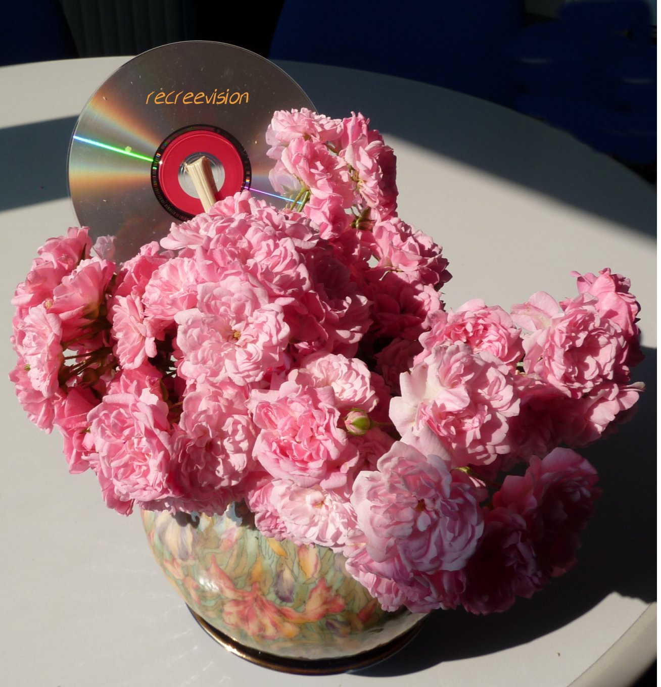 RECREEVISION: cd rose et c'est des roses