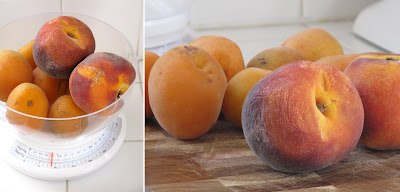 The Cilantropist: Making (Organic!) Stone Fruit Preserves for Pennies