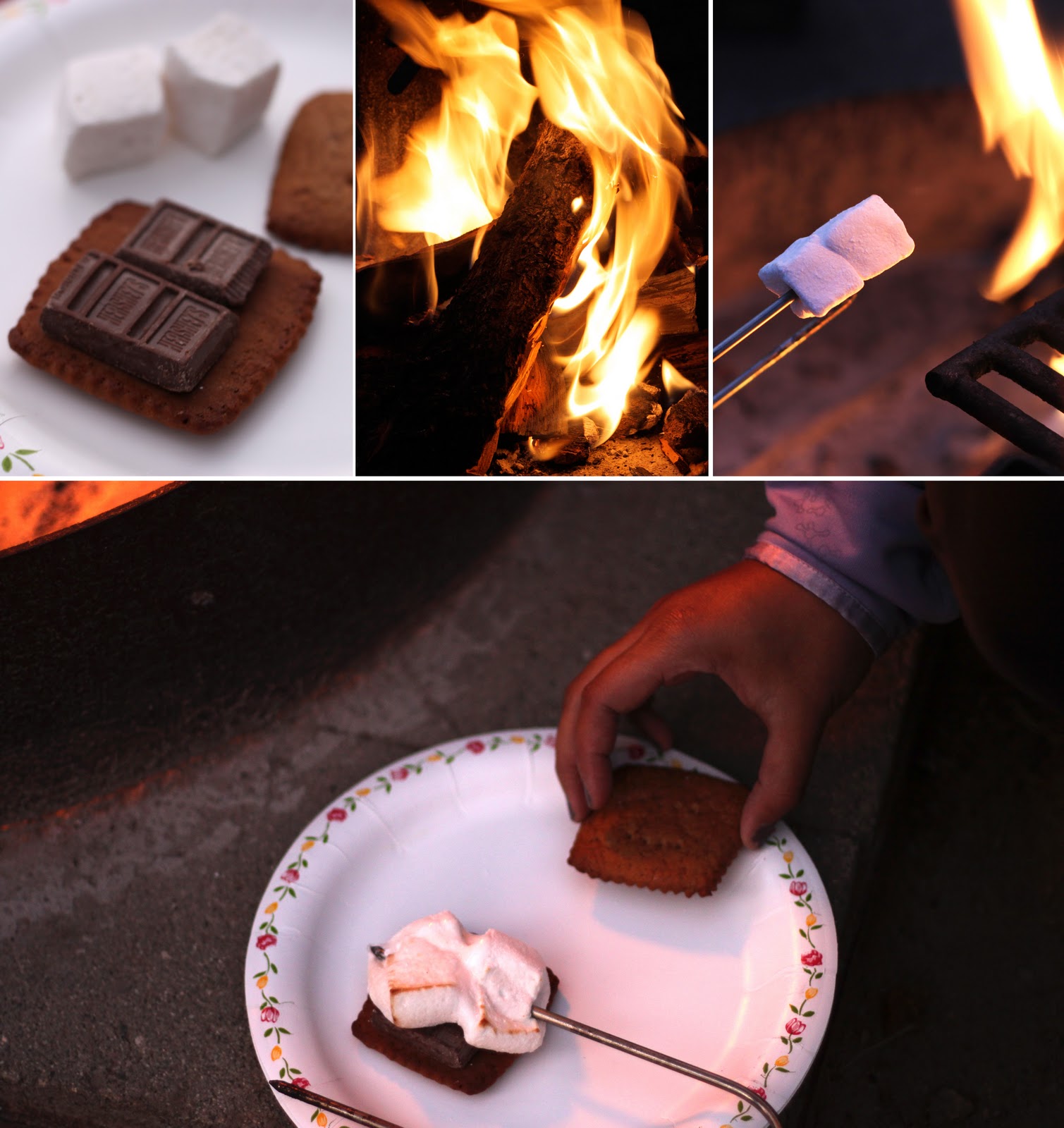 The Cilantropist: Making S'mores from Scratch: Homemade Marshmallows ...