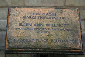 Nature Is My Elixir: Miss Ellen Willmott