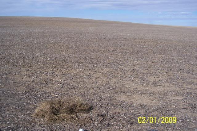 Trapping Supplies Review: The Hay Set