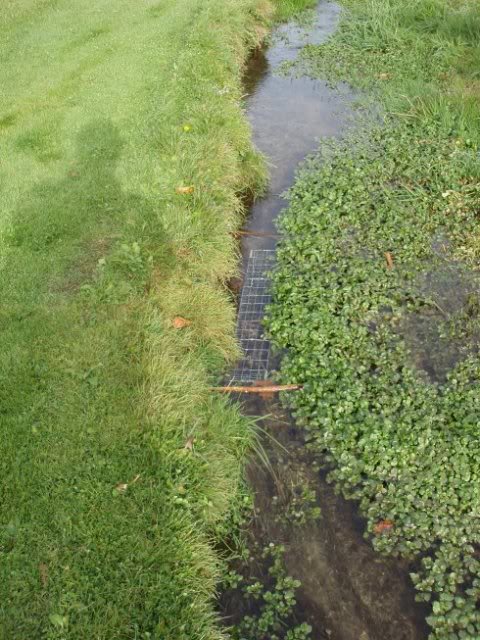 Trapping Supplies Review: Muskrat Colony Traps