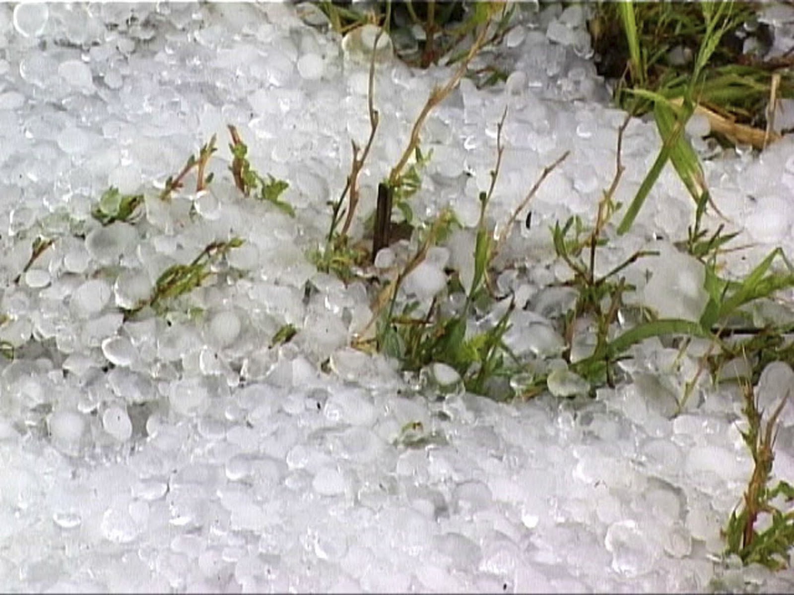 O mare de albastru: Grindina