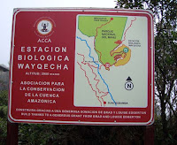 Birdernaturalist: Peru: Day 5 from Cusco to Manu National Park