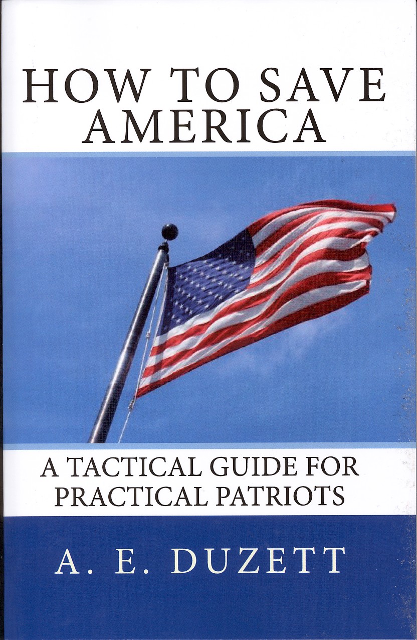 Nacilbupera: Book Review: How to Save America by A. E. Duzett