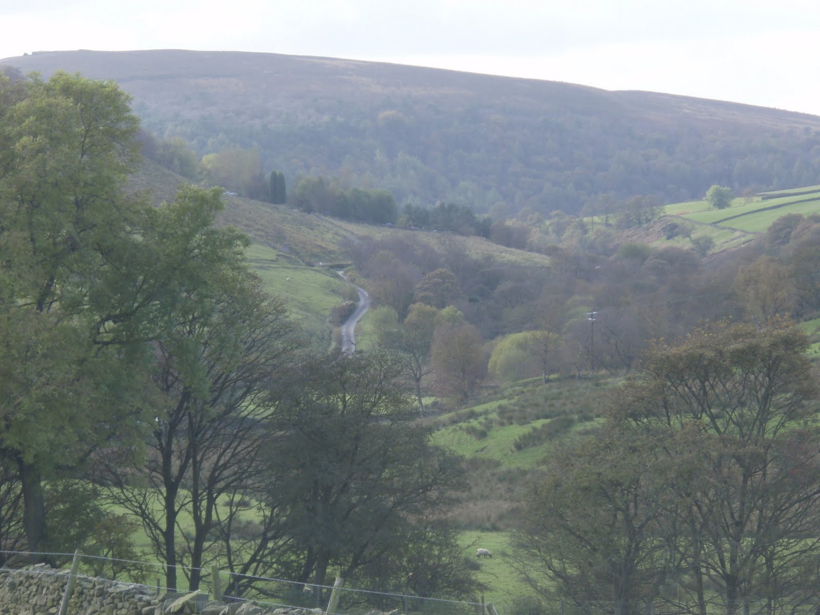 Karen Slatcher: Lud's Church etc