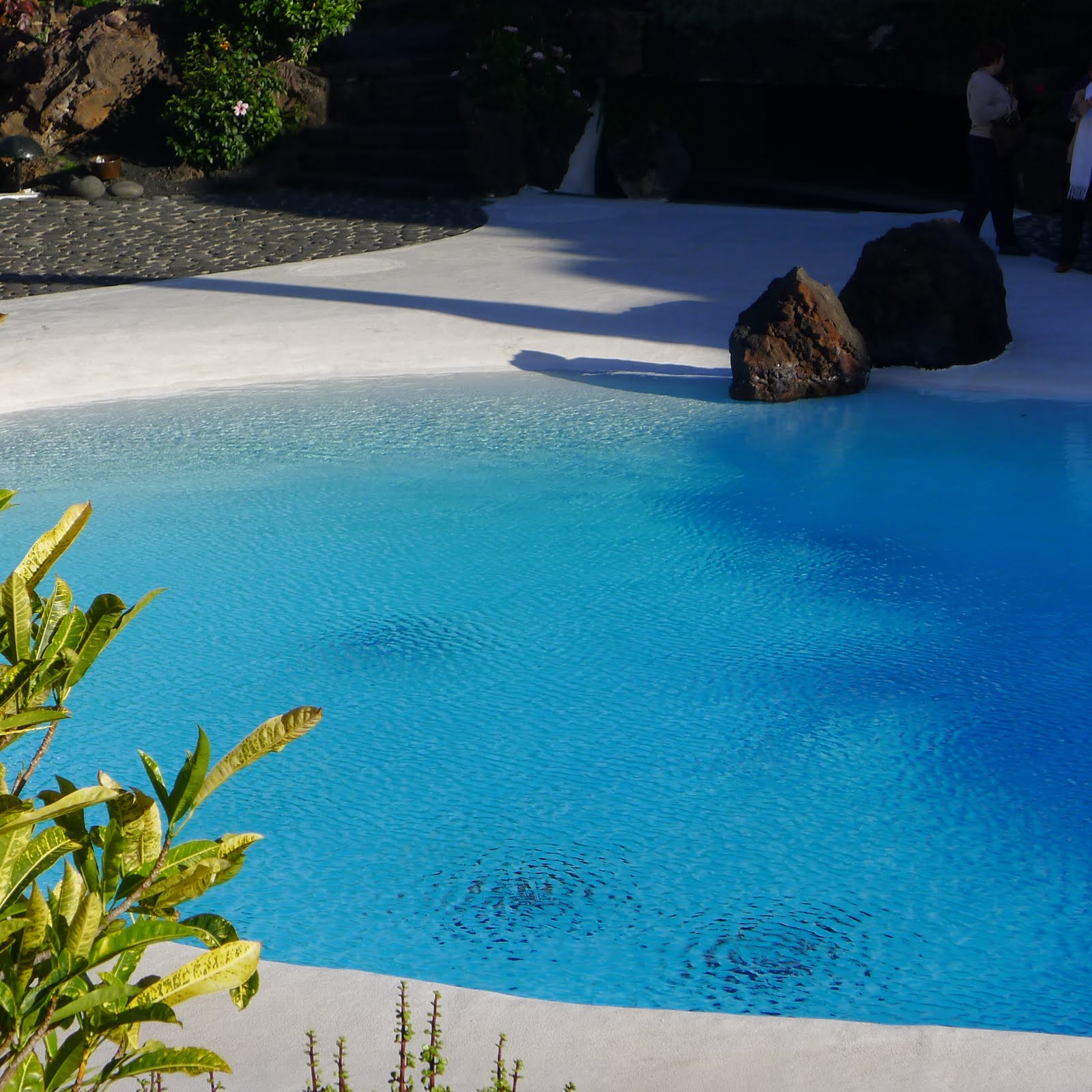 Somos Agua: Los colores del agua