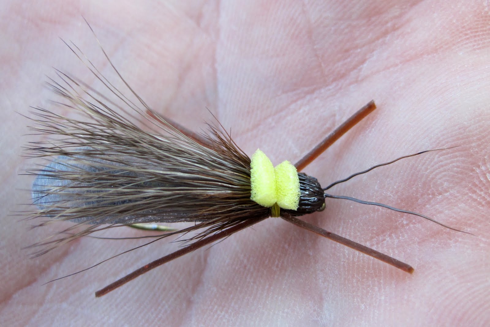 The Reno Fly Shop Blog: Spring Skwala Dry Fly