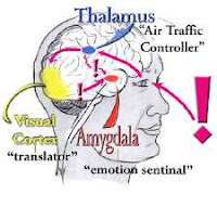 Practically Speaking: Amygdala Hijacking