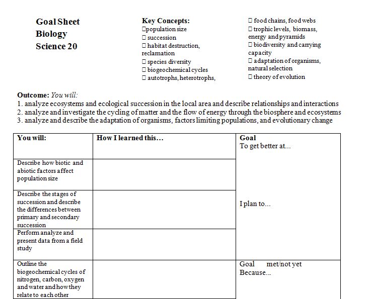 Rethinking Classroom Practice: Making Learning Visible